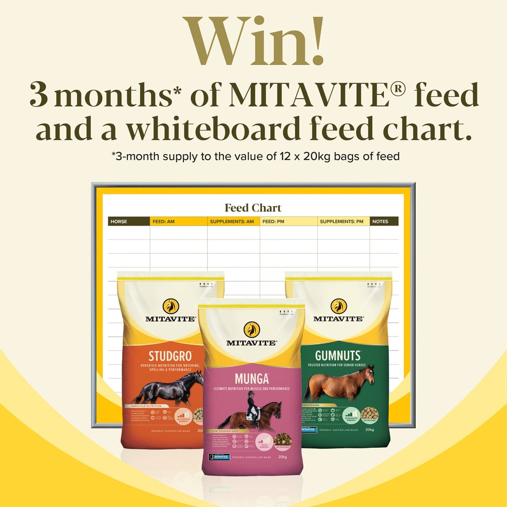 Mitavite What Does Your Feed Look Like Competition
